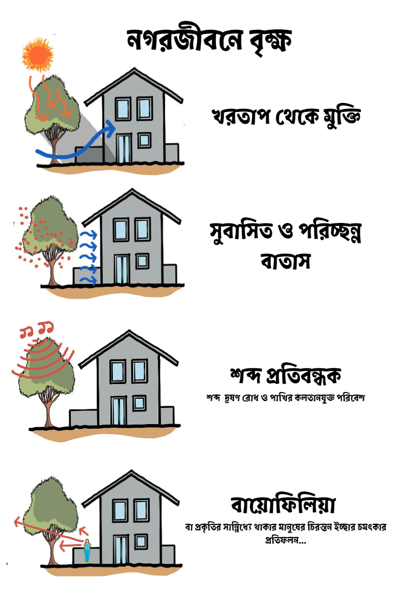 How Trees Improve Living Experience Of Your City Home Task Design